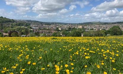 Bath's Official Tourism Information Site | Visit Bath