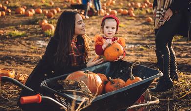 What’s On - Visit Bath